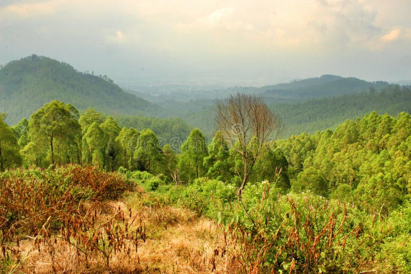 Mt Butak imagem de stock. Imagem de java, indonésia, montanha - 70417633