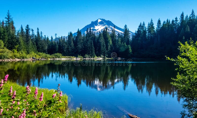 Mt Cappuccio Riflesso Nel Lago Mirror, Oregon Immagine Stock - Immagine ...