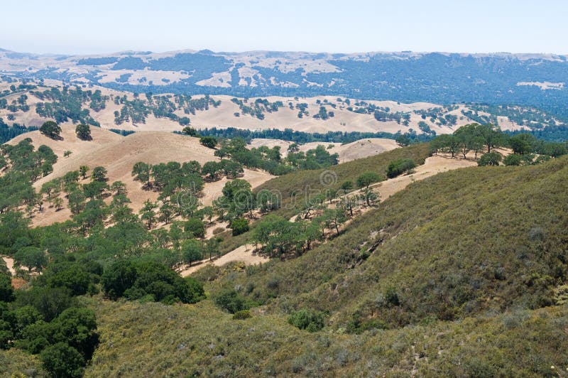 Mt. Diablo view stock image. Image of fields, countryside - 10058637