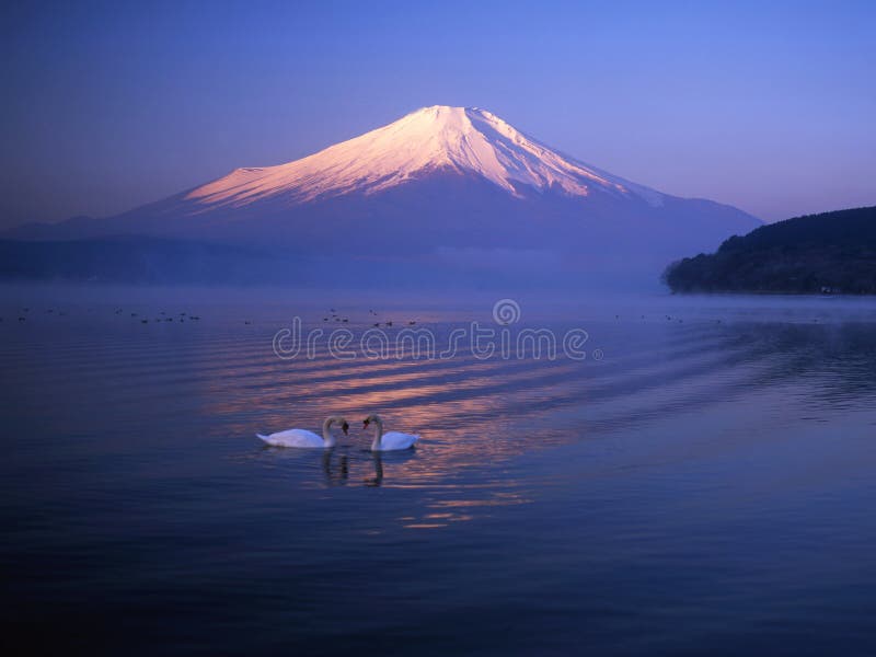 401 Winter Stock Photos - Free & Royalty-Free Stock Photos from Dreamstime