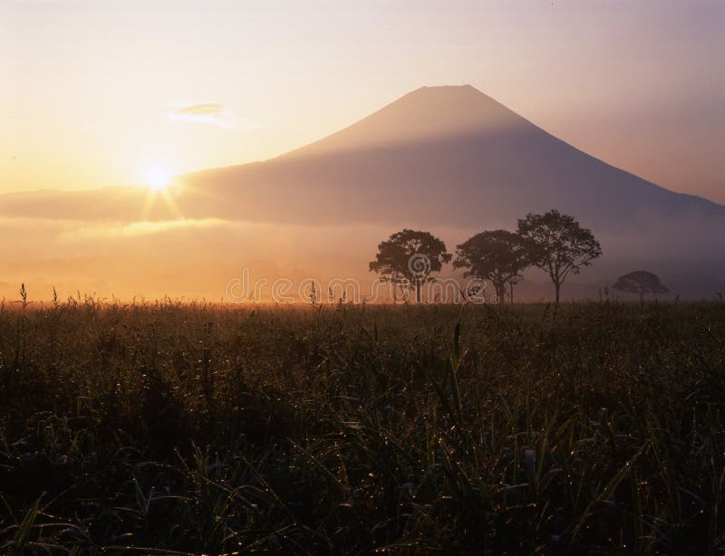 Autumn ravine stock image. Image of daytime, fall, valley - 8995813
