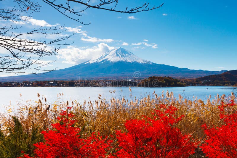 Mt. Fuji in autumn stock image. Image of grassland, fall - 36869687