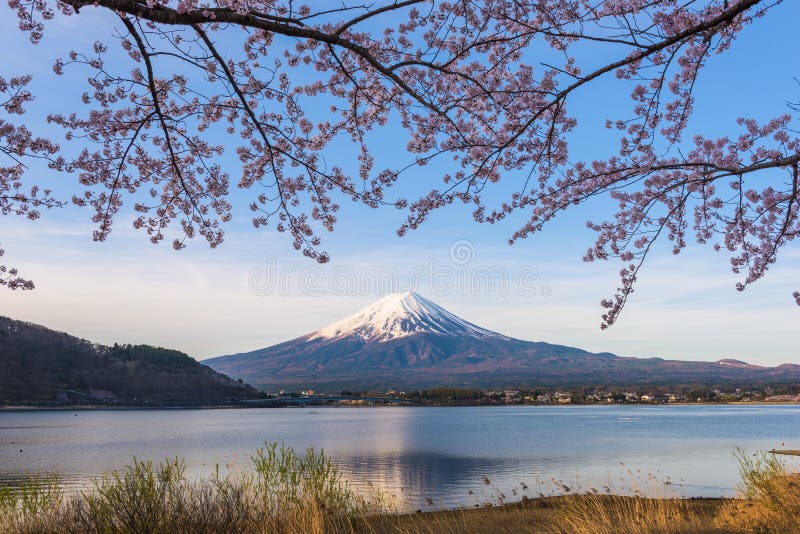 Mt. Fuji in Spring stock photo. Image of scene, scenic - 104123784