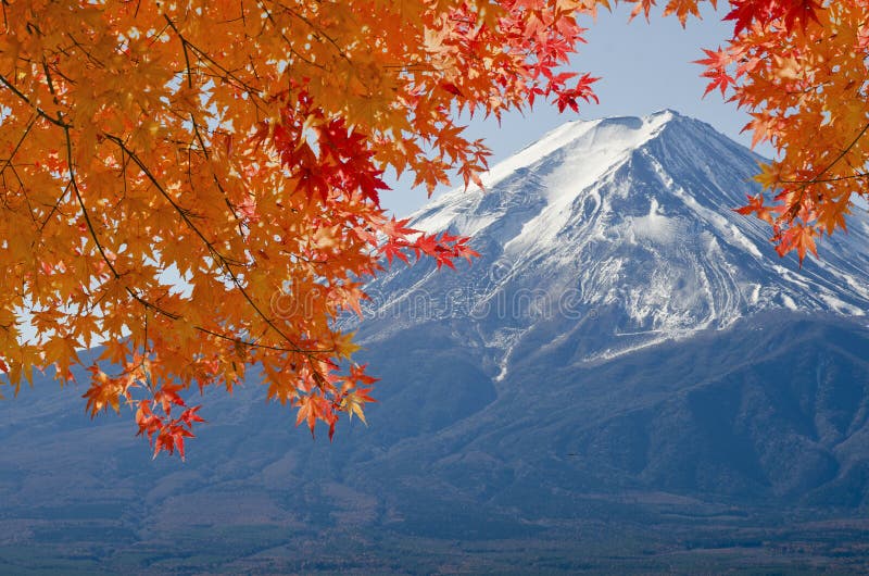 Mt.Fuji and Orange maple. stock image. Image of fujisan - 59110405