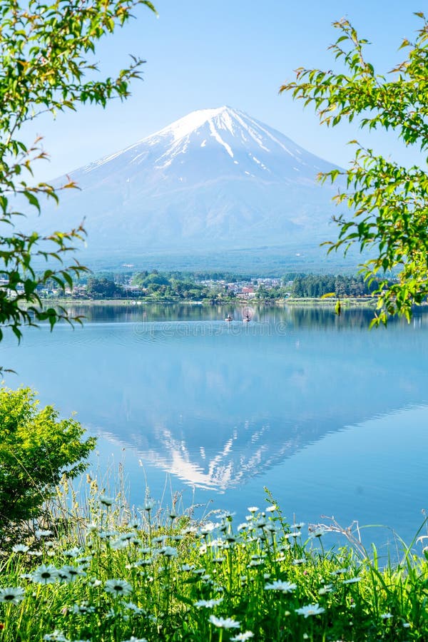 Mt.Fuji stock image. Image of asian, koyo, mountain, natural - 72594573