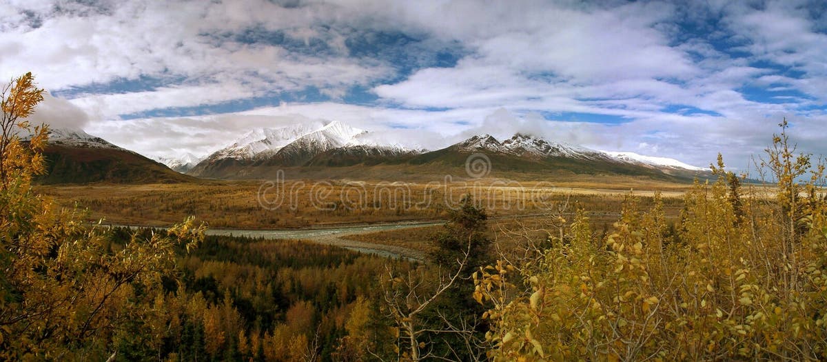 1,948 Hayes Stock Photos - Free & Royalty-Free Stock Photos from Dreamstime