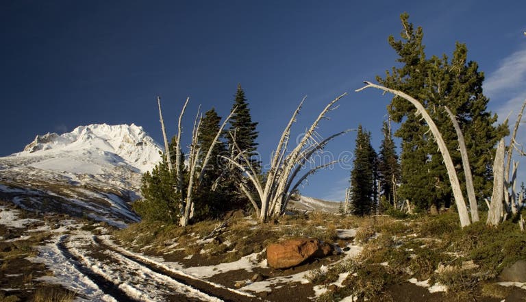 106 Mt Hood Summit Stock Photos - Free & Royalty-Free Stock Photos from ...