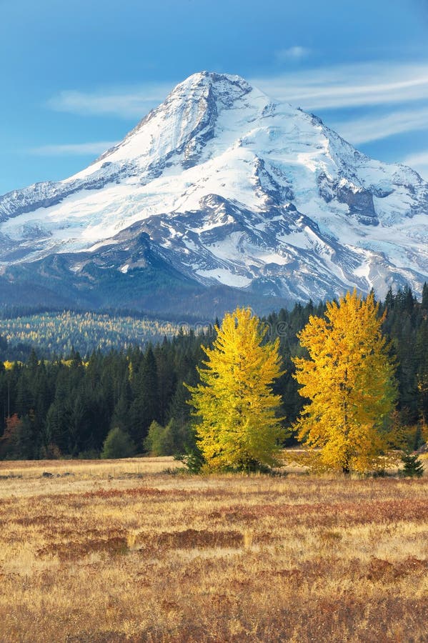 Mt Hood in Fall from Eastside Stock Photo - Image of northwest ...