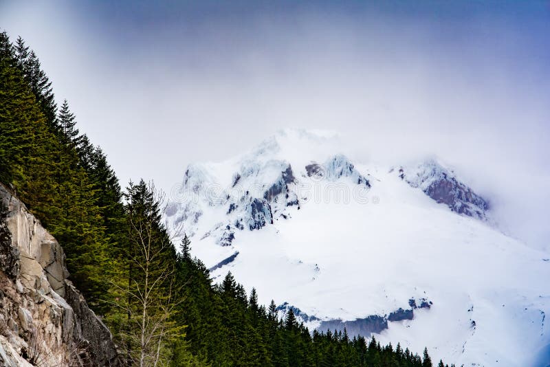 Mt Hood with Forest Foreground Stock Image - Image of valley, snow ...
