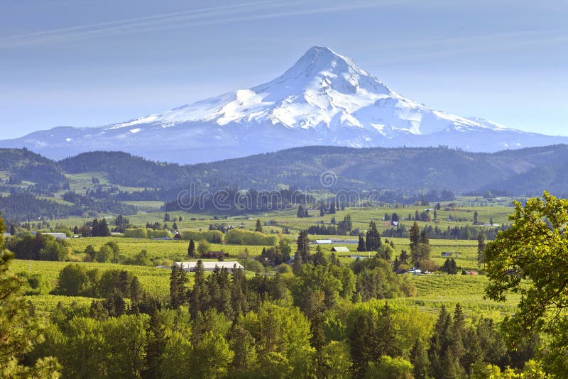 Mt. Hood and Hood River Valley Oregon. Stock Photo - Image of mountain ...