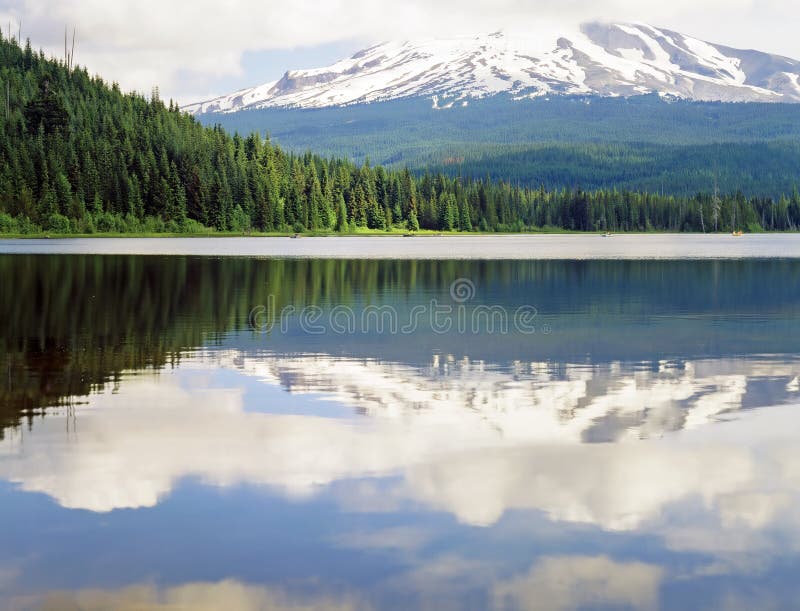 Mt.Hood with Trillium Lake in Oregon Stock Image - Image of forest ...