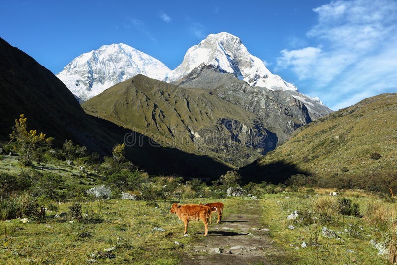 Mt Huascaran from Laguna 69 Trail, Peru Stock Image - Image of blue ...