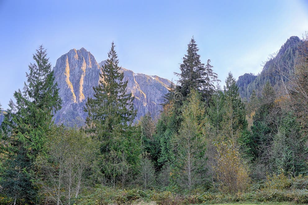 Mt Index stock photo. Image of forest, view, green, washington - 79003478