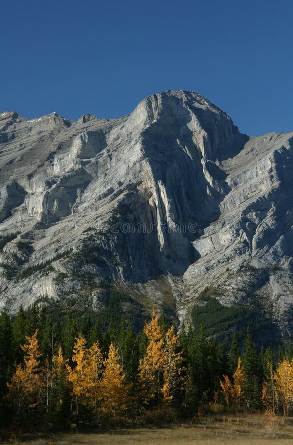 Mt Kidd, autumn stock photo. Image of aspens, larch, rock - 18519100