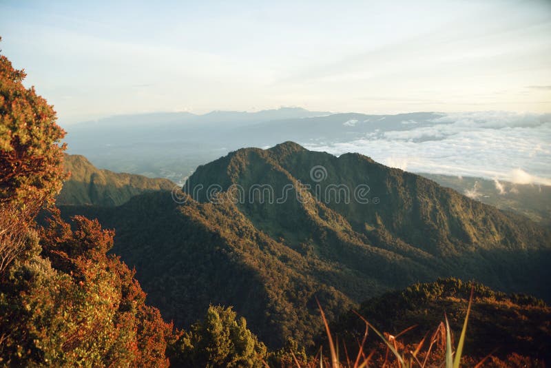 Mt. Kitanglad Mountain Range Stock Image - Image of range, mountains ...