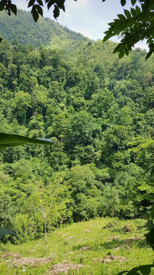 Mt. Matutum, Philippines editorial stock photo. Image of mountains ...