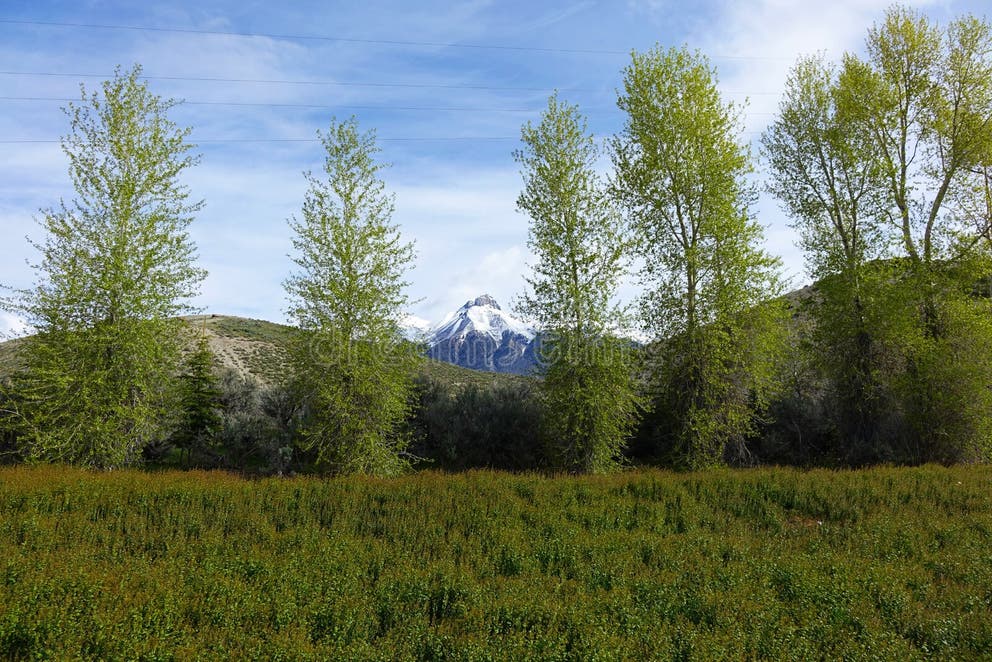 Mt. McCaleb - Mackay, Idaho Stock Image - Image of lost, spring: 93128111