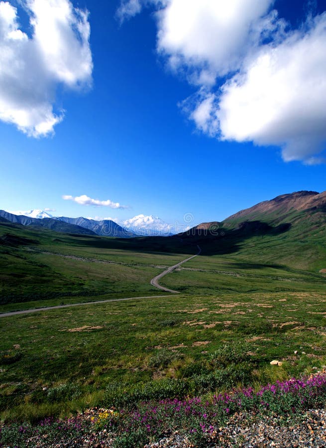 Mt Mckinley Football Field Stock Photos - Free & Royalty-Free Stock ...