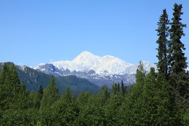 Mt McKinley stock image. Image of clear, pine, green - 57104277