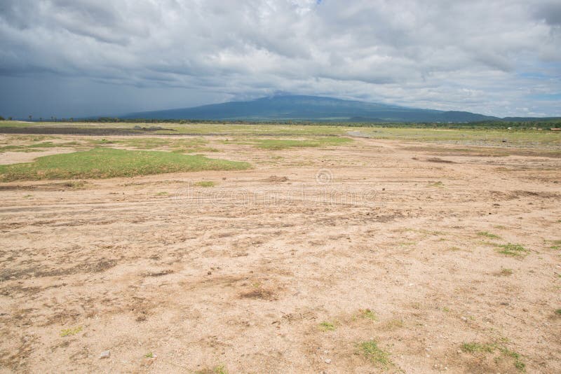 Mt. Oldeani stock image. Image of acacia, africa, wild - 29201573