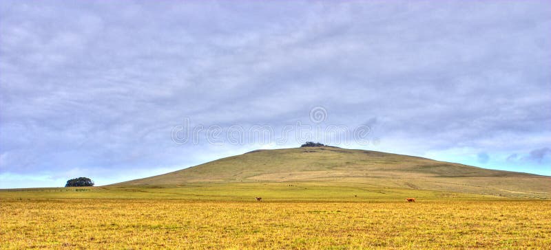 Mt. Poike stock image. Image of hill, island, grass, rapa - 2743839
