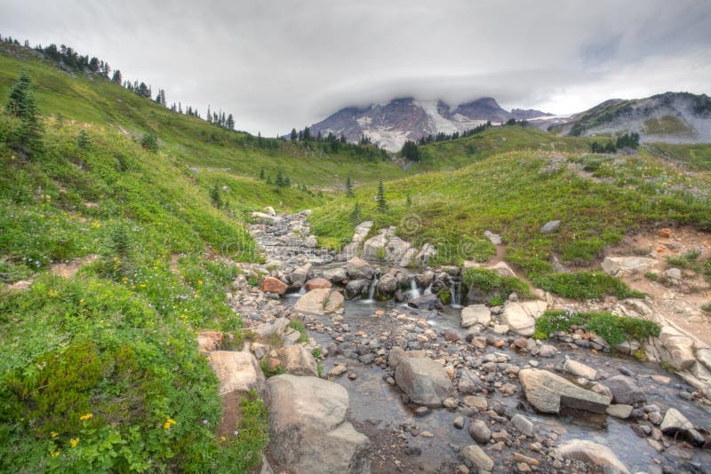 Rocky Mountain Beaver Dam stock image. Image of environment - 901931