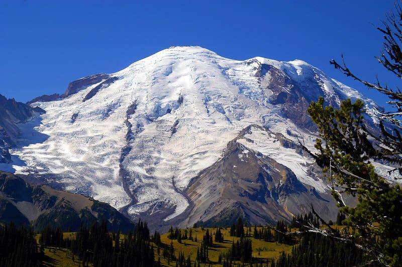 Mt Rainier stock photo. Image of trees, people, landscape - 92687090