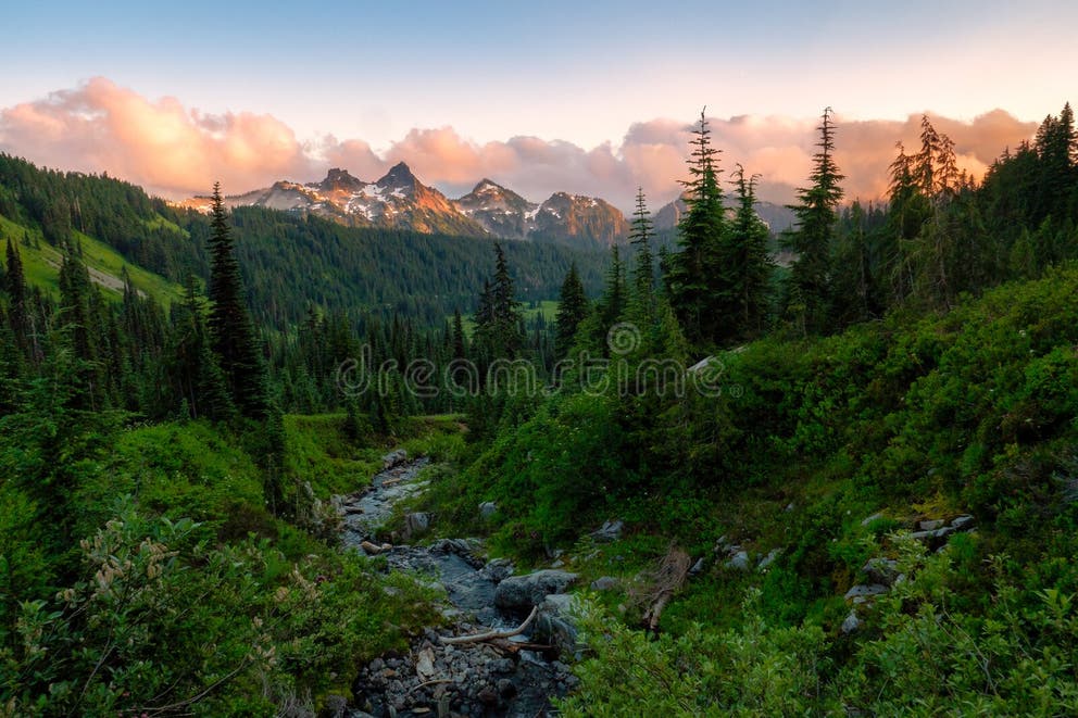 Views of Rivers and Mountains at Mt Rainier National Park Stock Image ...
