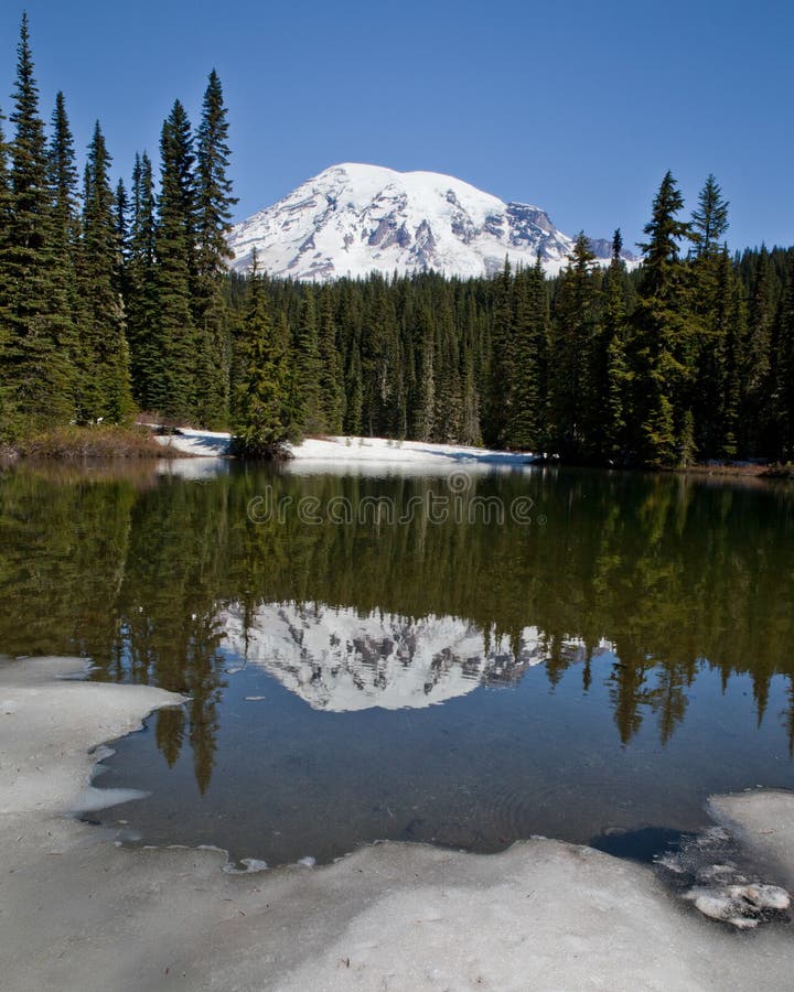 Mt. Rainier Reflection in Early Spring Stock Image - Image of america ...