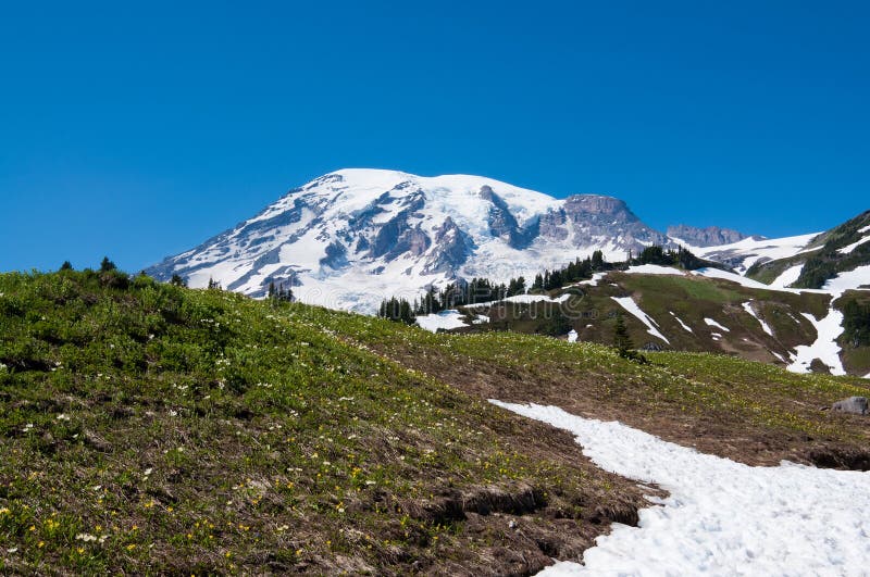 Mt. Rainier Scenic Landscape Stock Image - Image of growth, parks: 32373271