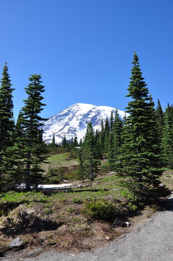 Mt. Rainier Scenic Landscape Stock Photo - Image of america, morning ...