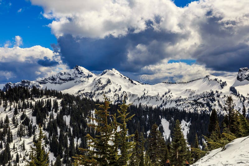 Mt. Rainier Winter Mountain View, Mt Stock Photo - Image of travel ...
