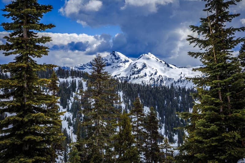 Mt Rainier Winter Mountain View, Mt Rainier National Park Foto de Stock ...
