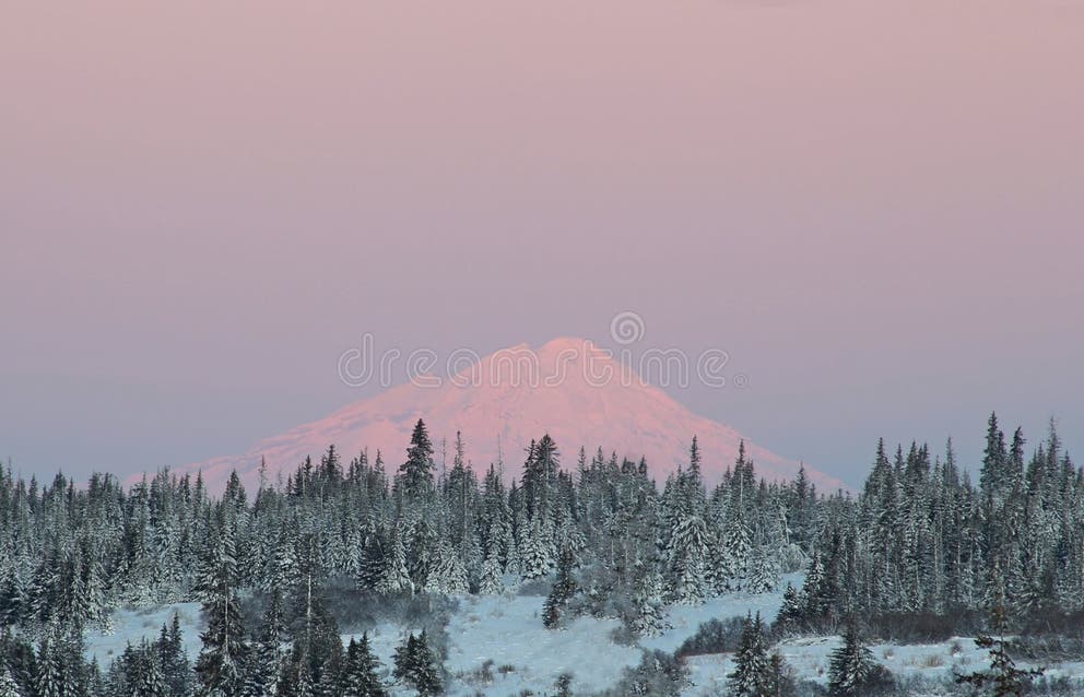 Mt. Redoubt at sunrise stock image. Image of pink, inlet - 22606203