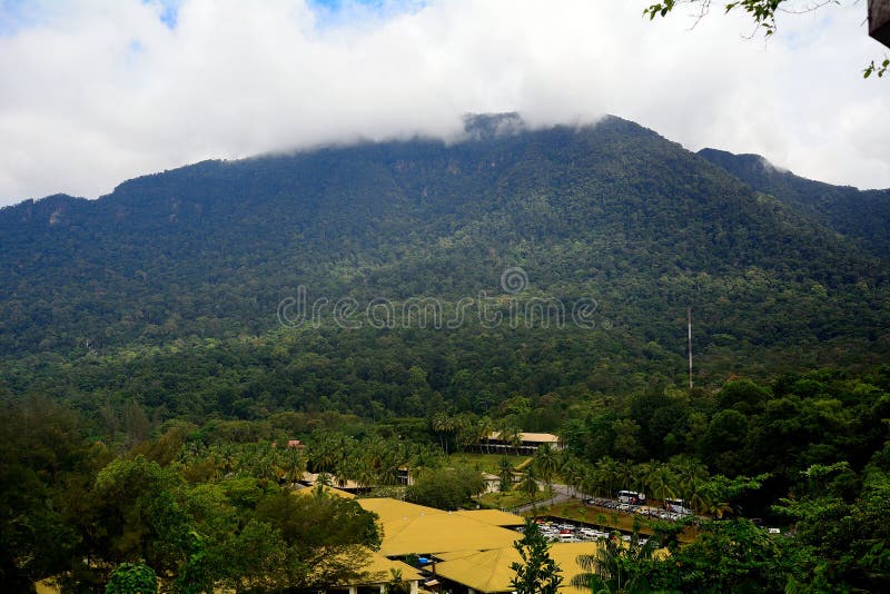 Mt. Santubong, Damai, Borneo, Malaysia Stock Image - Image of forest ...