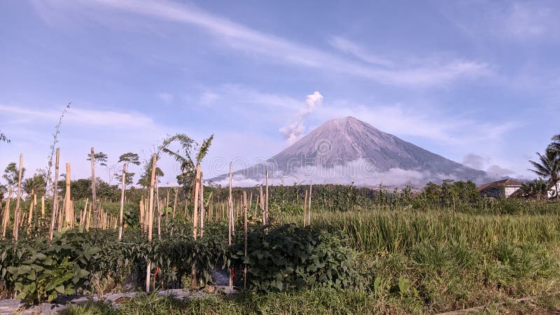 Mt. Semeru stock image. Image of mountain, 3760mdpl - 263931979