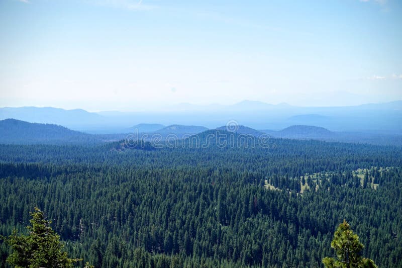 Mt. Shasta Forest stock photo. Image of forest, california - 74355052