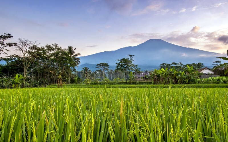 Mt. Slamet in Central Java, Indonesia, Stock Photo - Image of cloud ...