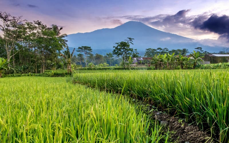 Mt. Slamet in Central Java, Indonesia, Stock Image - Image of hill ...
