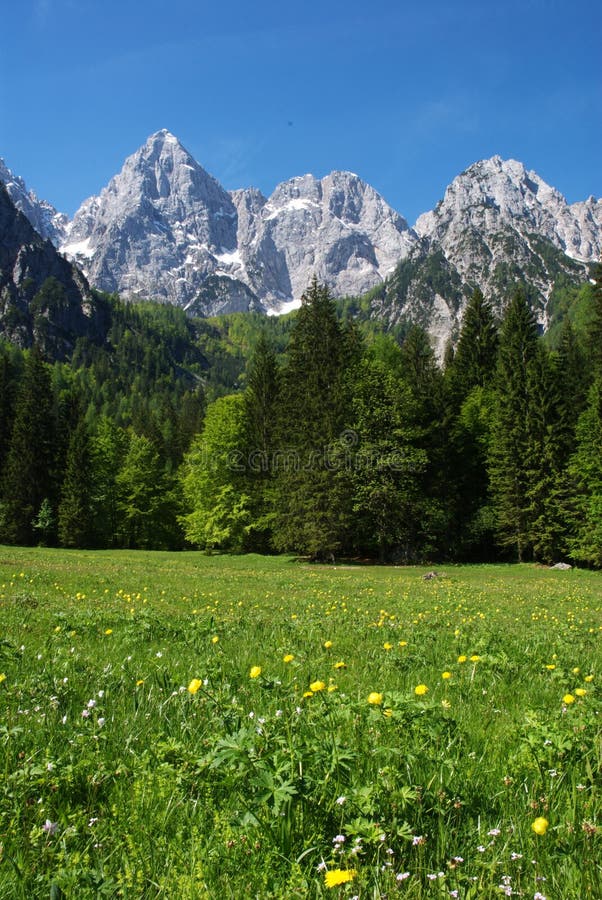 Mt. Spik from Jasenje stock photo. Image of mountain - 15427422