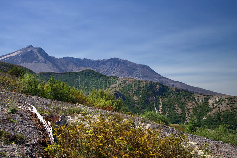 Mt St Helens 2286 stock photo. Image of volcano, trees - 125041842