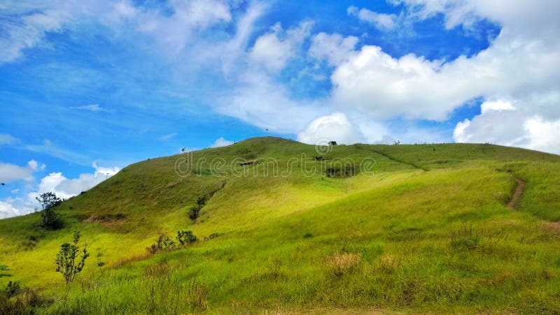 Mt Tagapo immagine stock. Immagine di come, escursionismo - 118257237