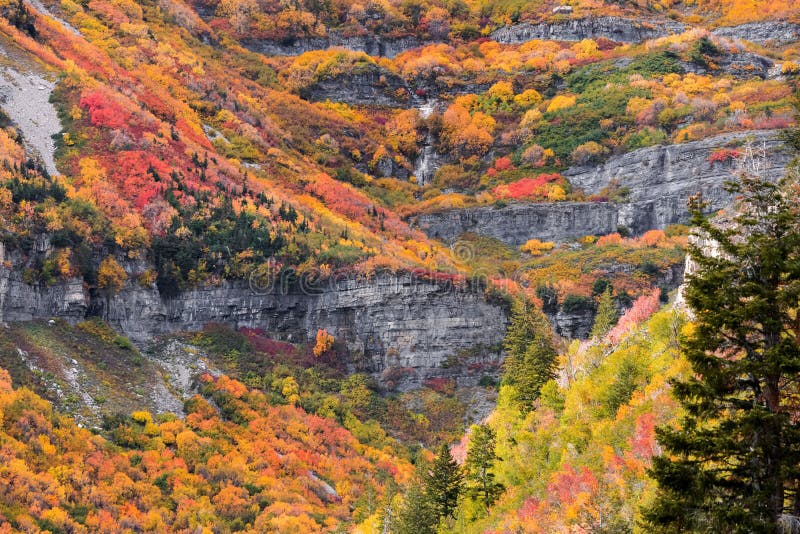 Mt Timpanogos Peak with Colorful Fall Foliage Stock Photo - Image of ...