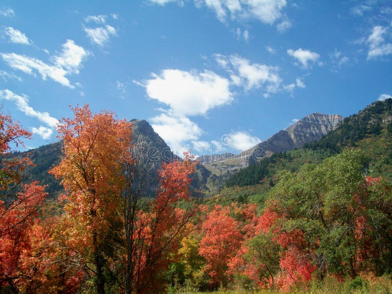 Fall Colors on Mt. Timpanogos, Utah Stock Photo - Image of beauty ...