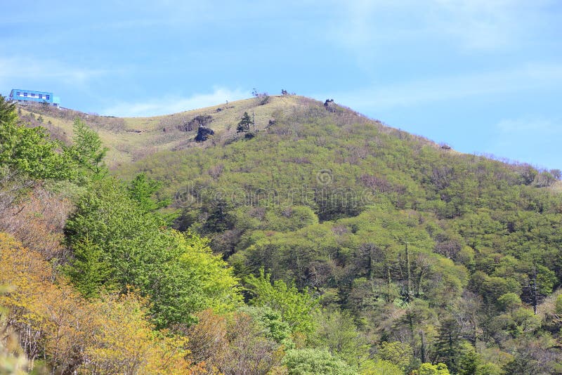 Mt Tsurugi in Tokushima, Japaan Stockbild - Bild von stark, ansicht ...