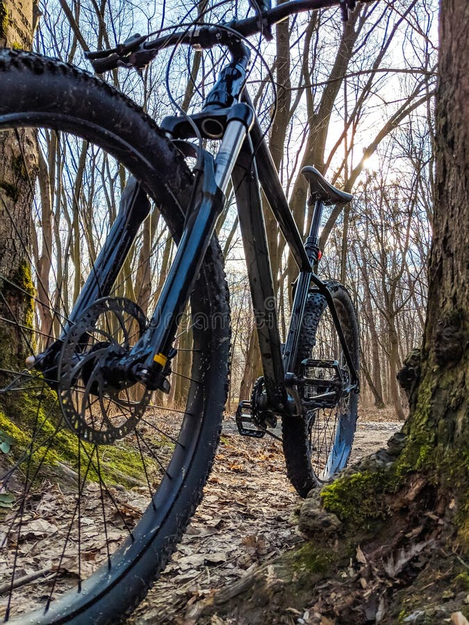 MTB Bicycle on the Trail in the Spring Season Stock Image - Image of ...
