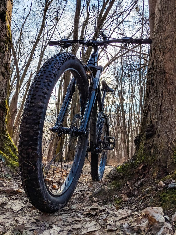 MTB Bicycle on the Trail in the Spring Season Stock Photo - Image of ...