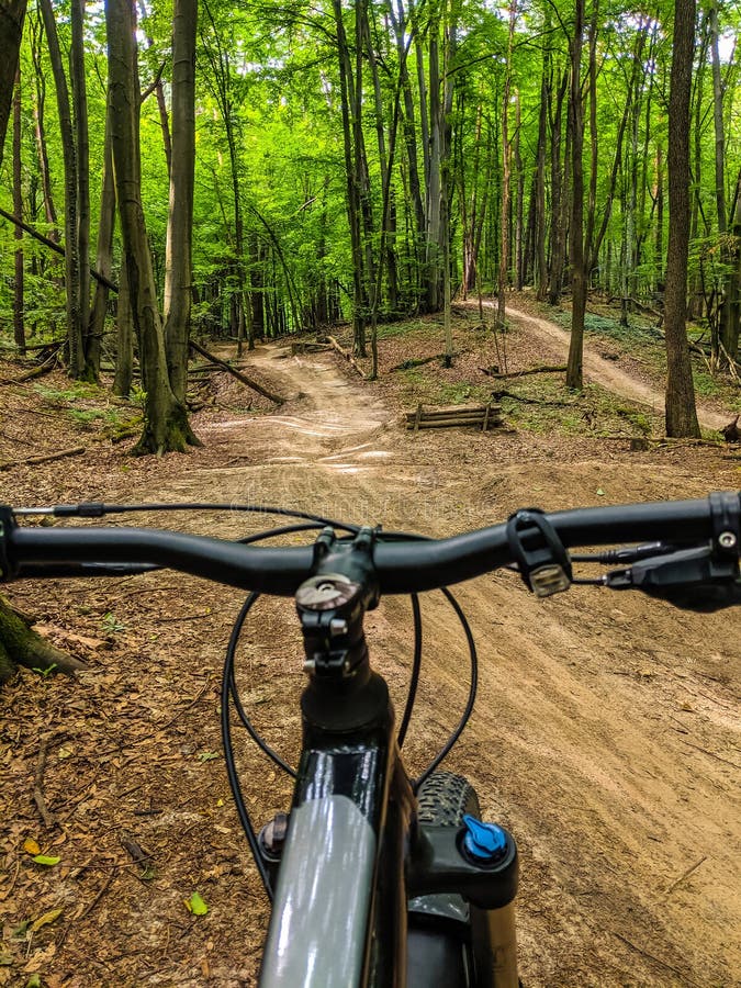 MTB Bicycle on the Trail in the Spring Season Stock Image - Image of ...