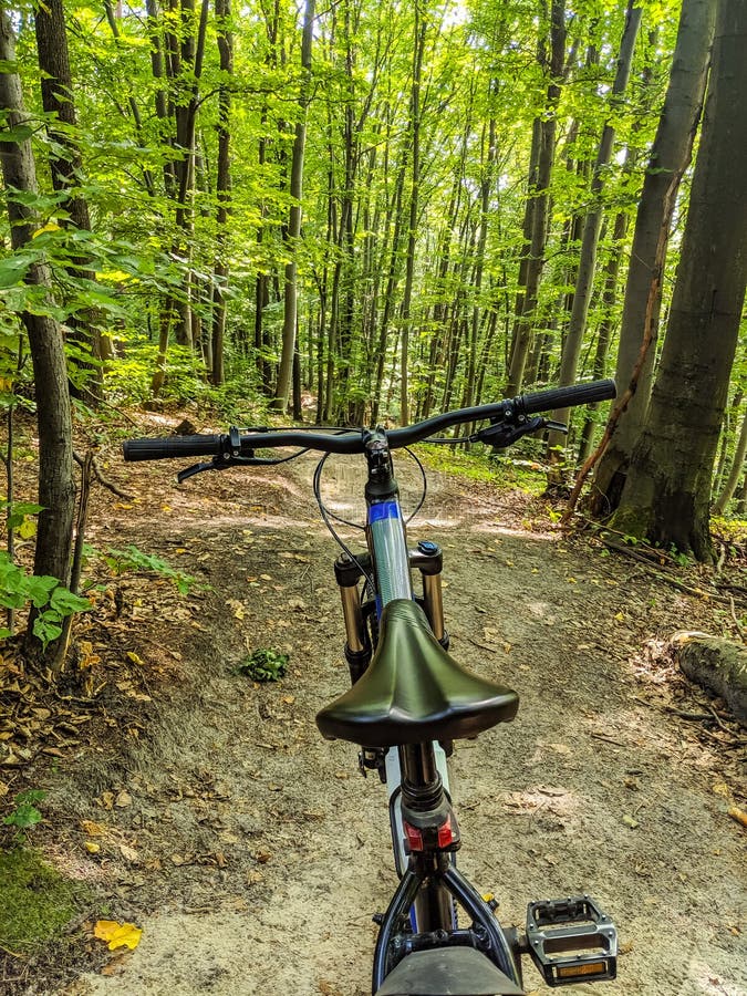 MTB Bicycle on the Trail in the Summer Season Stock Photo - Image of ...