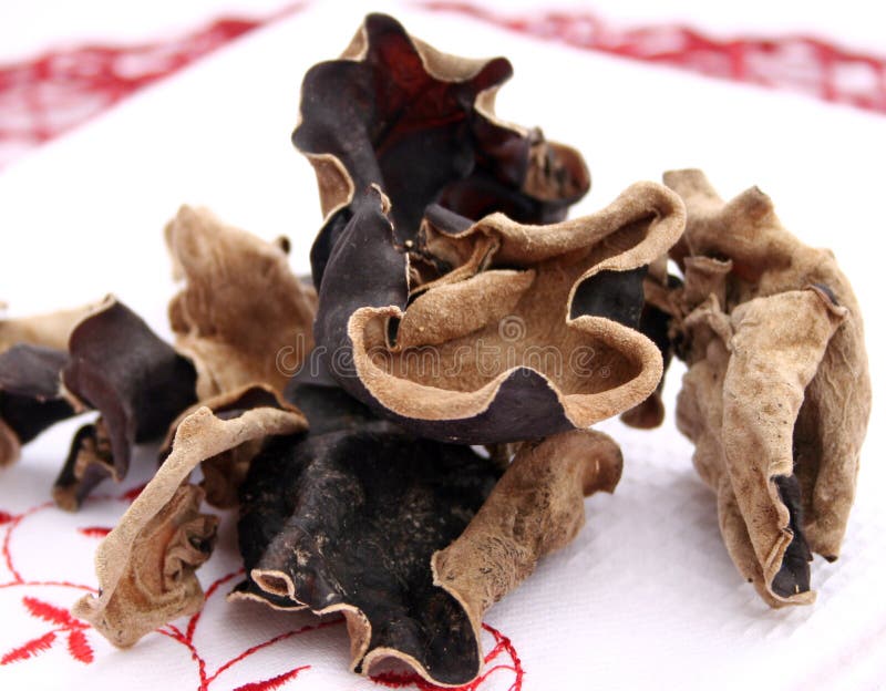 Mu-Err Mushrooms stock image. Image of chinese, dried - 37189883